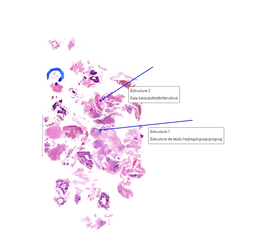 Muestra 1 ROTULADA probando - Laboratorio de biología Interactiva